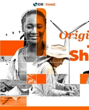 IDB Invest Annual Reports | IDB Invest